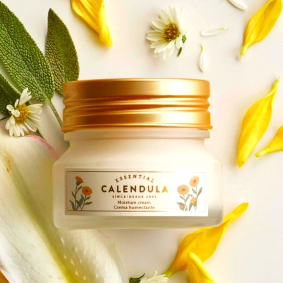 The Face Shop | Skincare | Calendula Essential Moisture Cream Boutique ...